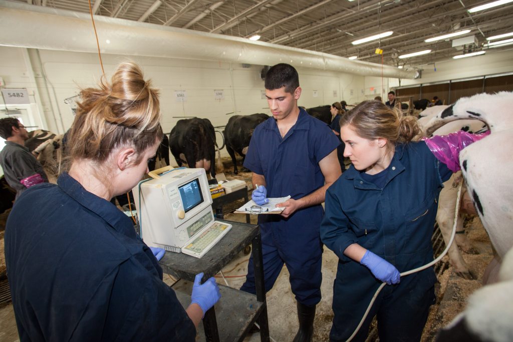 Dairy Sci Students-5453 – Animal & Dairy Sciences