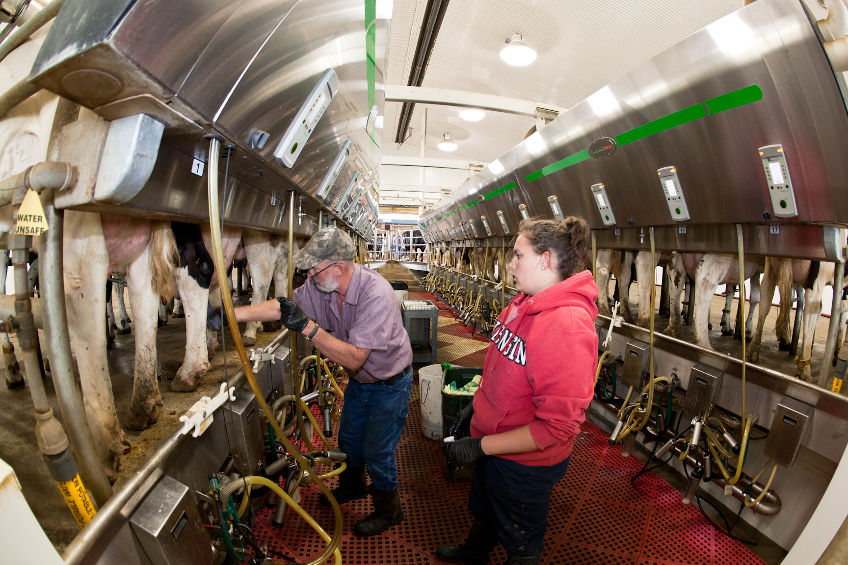 Arlington Milking Parlor – Animal & Dairy Sciences