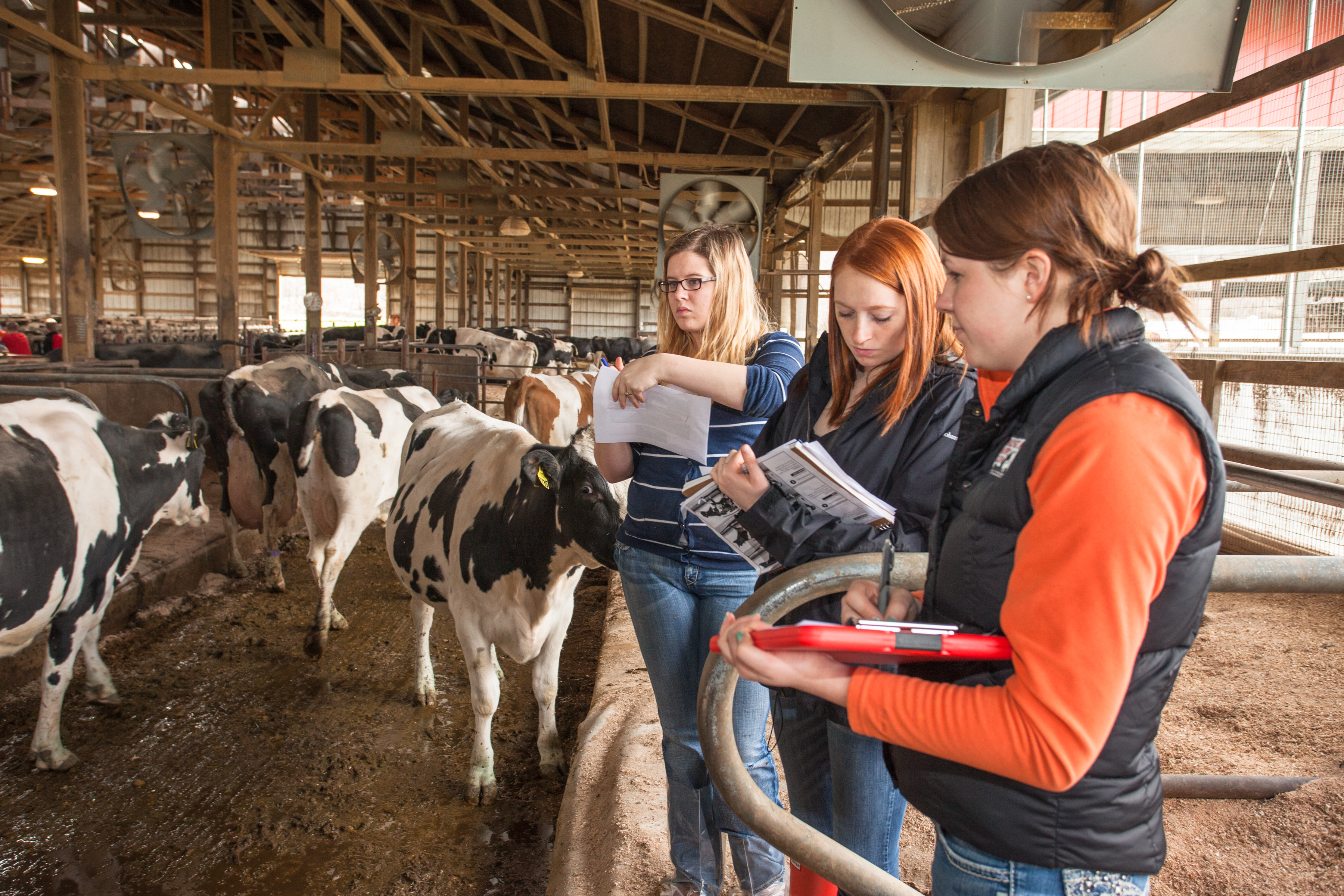 Dairy Science student field trip 04-22-2013, SunBurst Dairy, Belleville ...