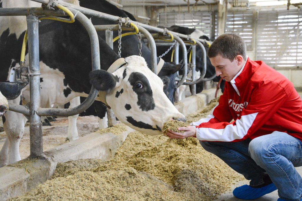 Undergraduate Scholarships – Animal & Dairy Sciences