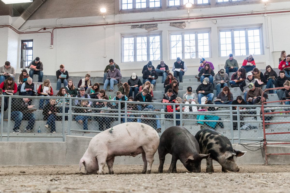 Extension – Animal & Dairy Sciences