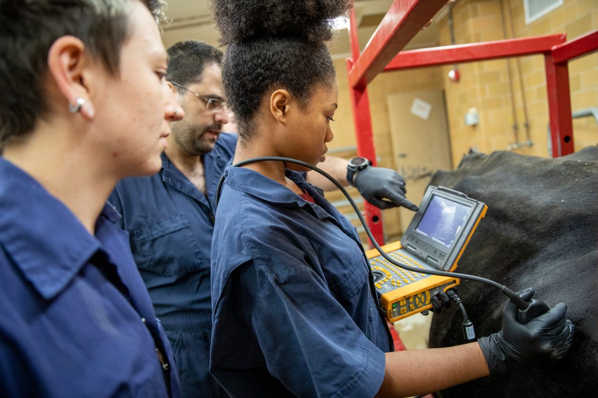 Animal Nutrition – Animal & Dairy Sciences