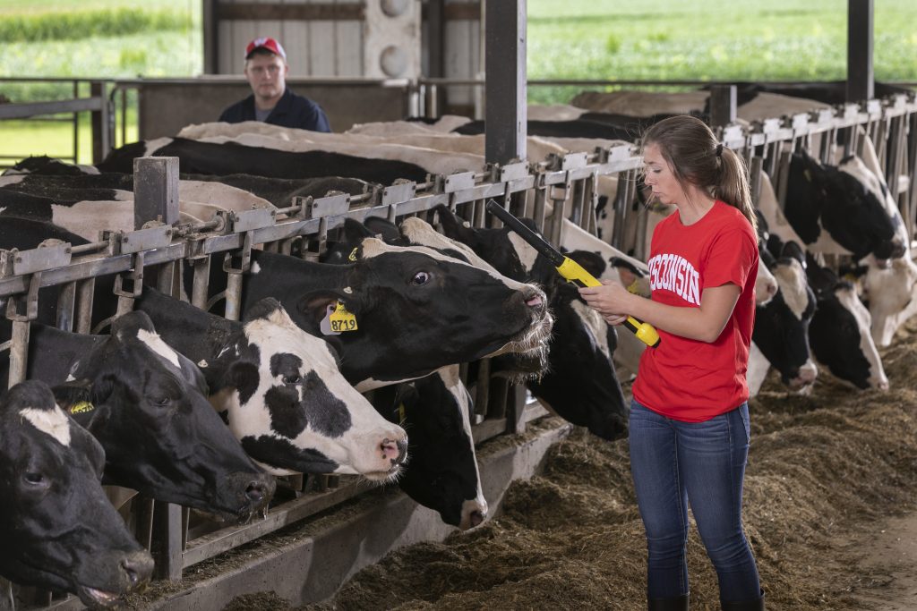 Undergraduate Students – Animal & Dairy Sciences