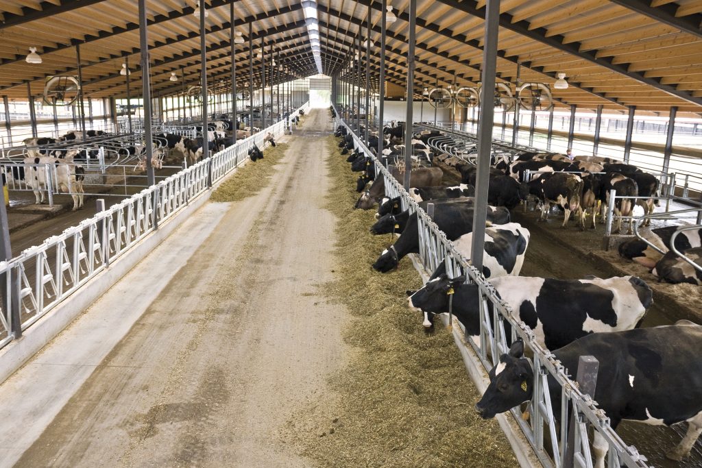 Graduate Student Opportunities – Animal & Dairy Sciences