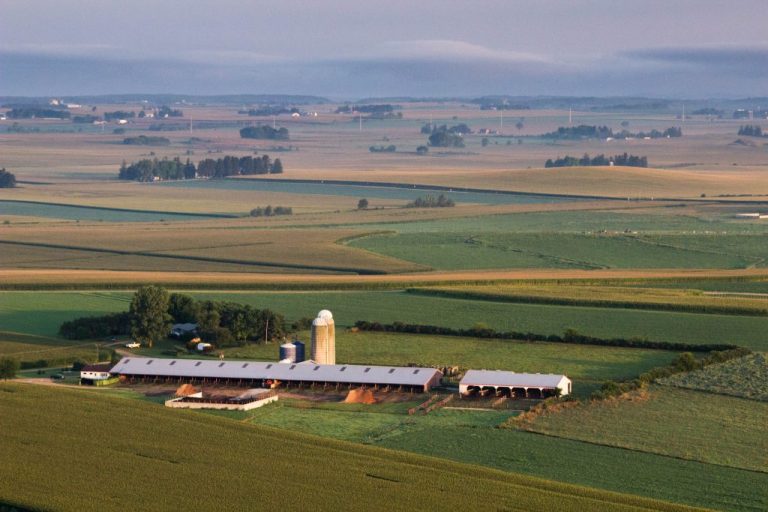 Beef Units – Animal & Dairy Sciences