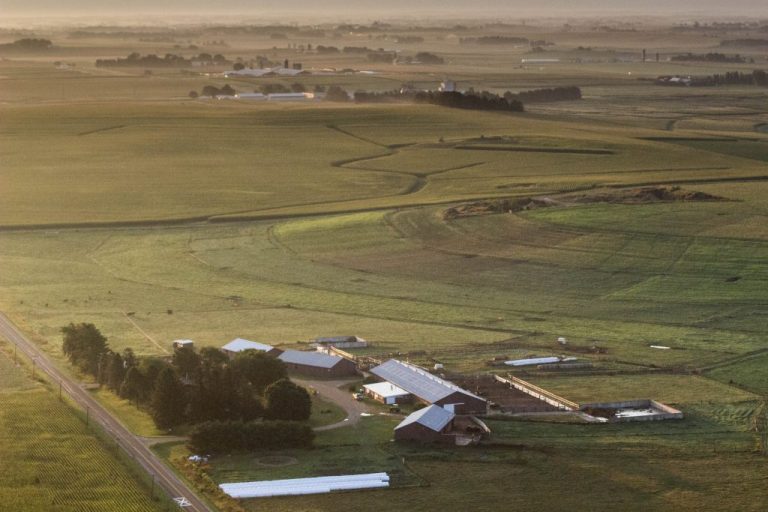 Beef Units – Animal & Dairy Sciences