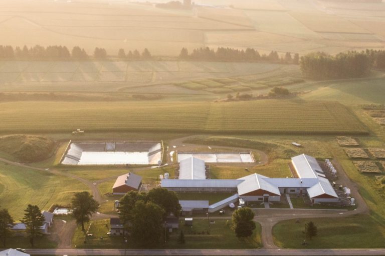 Swine Unit – Animal & Dairy Sciences