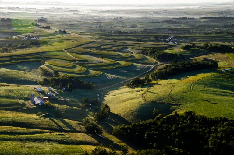 Beef Units – Animal & Dairy Sciences