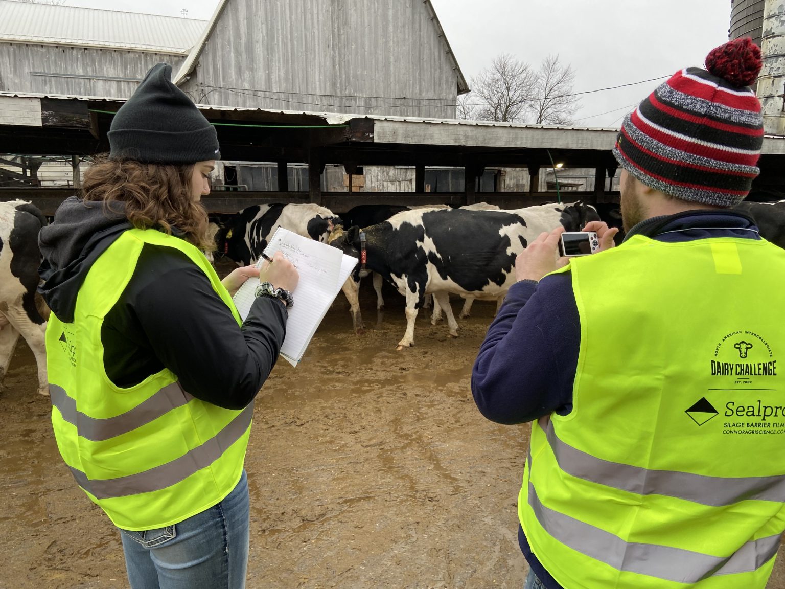 Undergraduate Students – Animal & Dairy Sciences