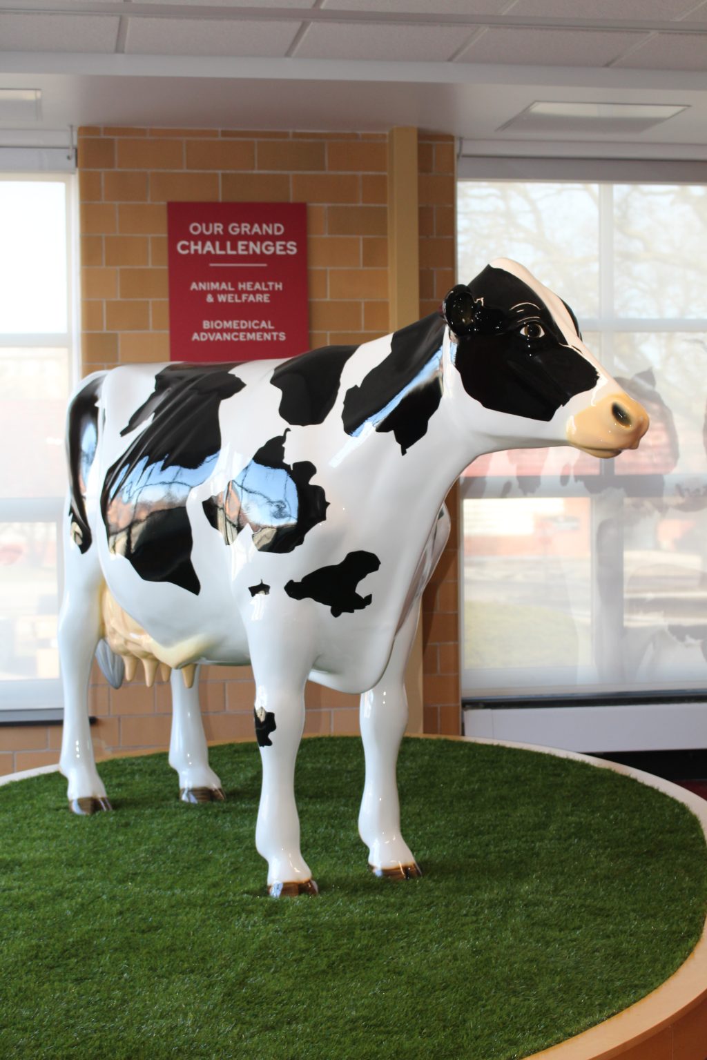 Undergraduate Students – Animal & Dairy Sciences